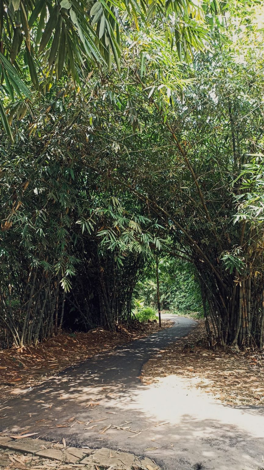 Review Warung Tuman BSD, Sensasi Makan di Kebun Tetangga