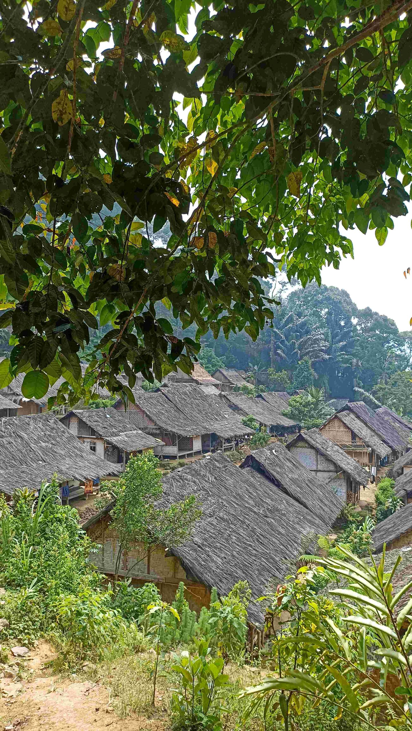 Ekspedisi Baduy Dalam via Ciboleger: Kukira Wisata, Ternyata...