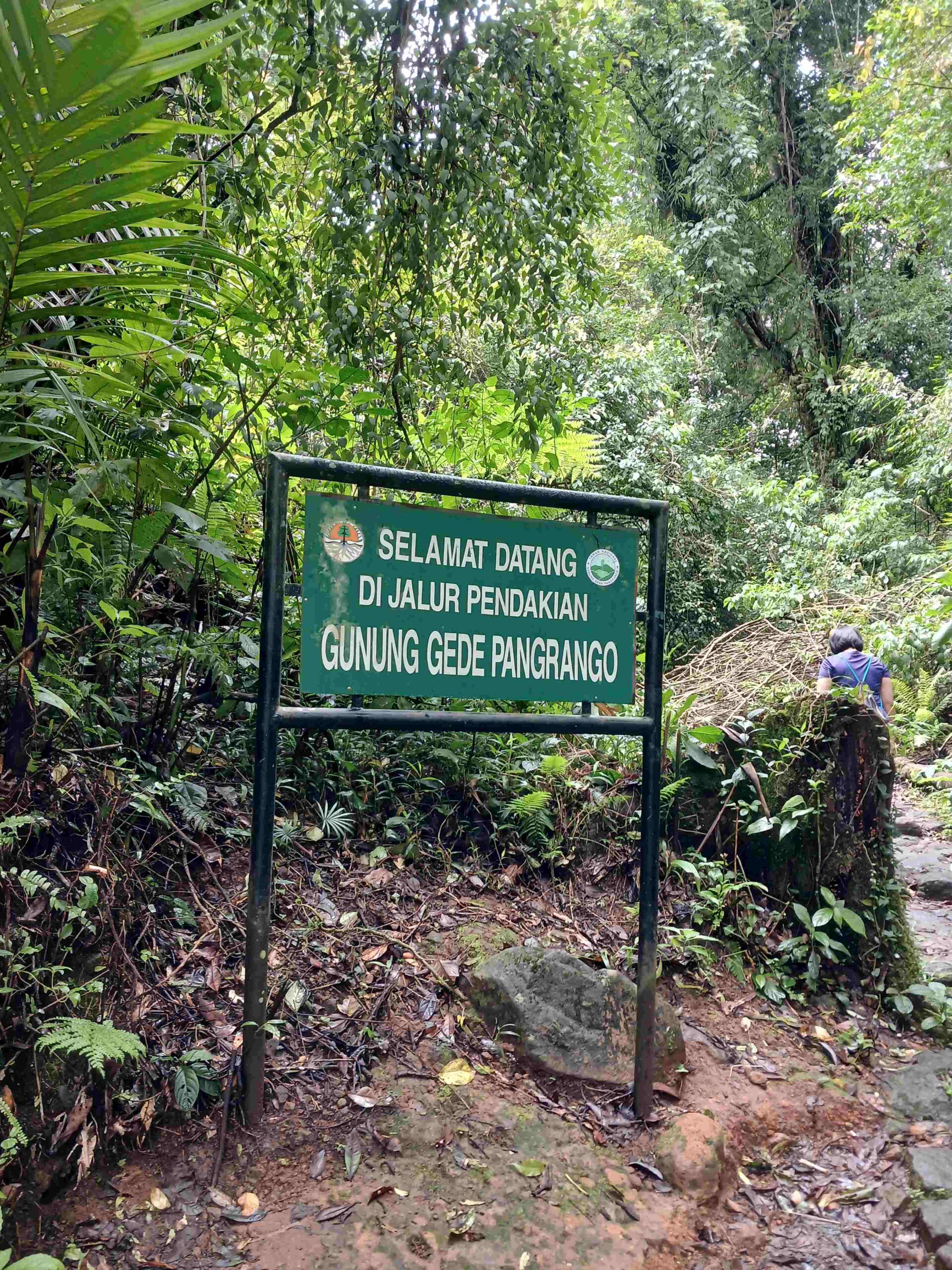 Trekking ke Curug Cibereum Cibodas, Bagaimana Jalurnya?